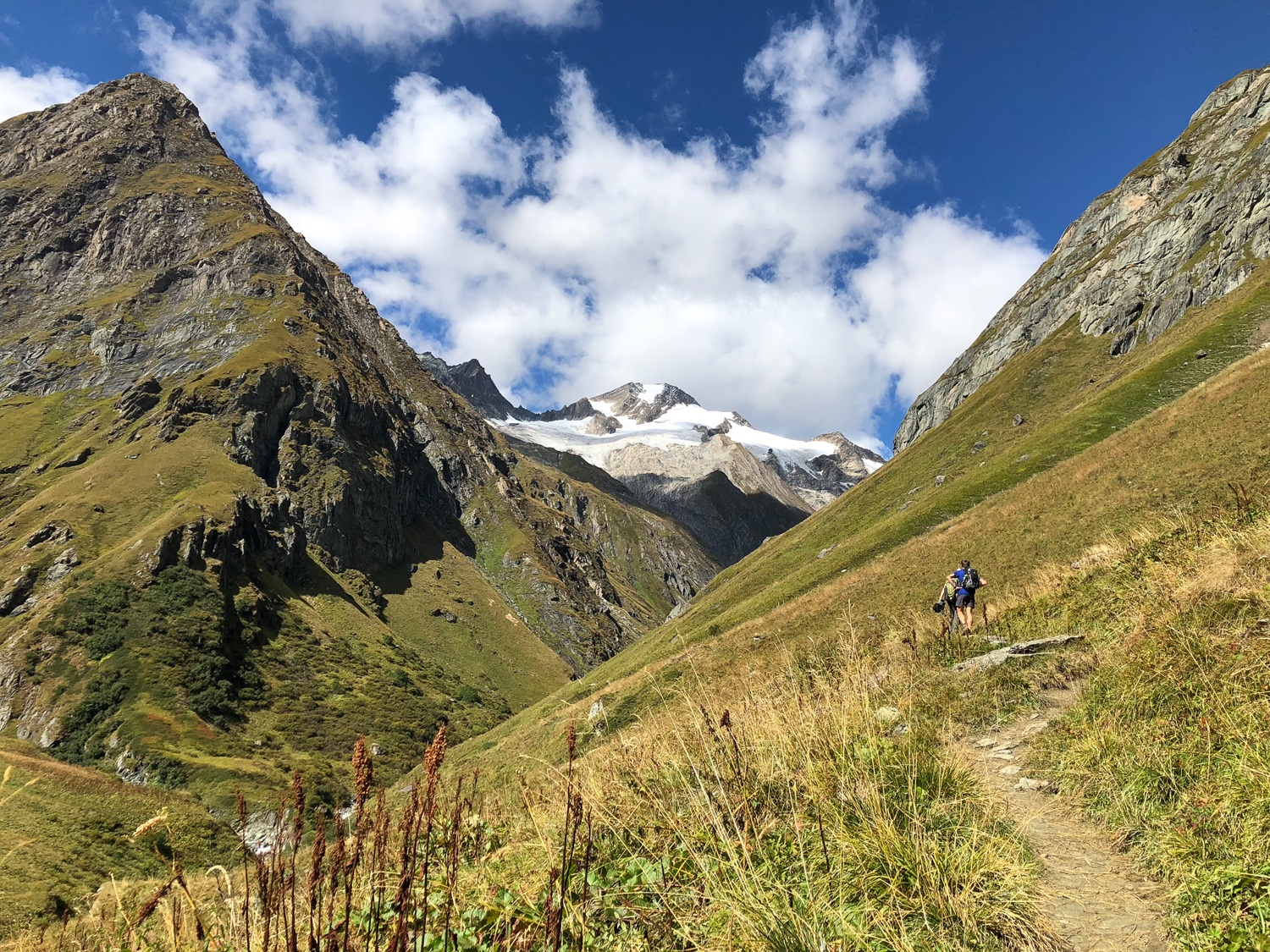 Fünf Gründe für einen Besuch im Nationalpark Hohe Tauern Osttirol ...